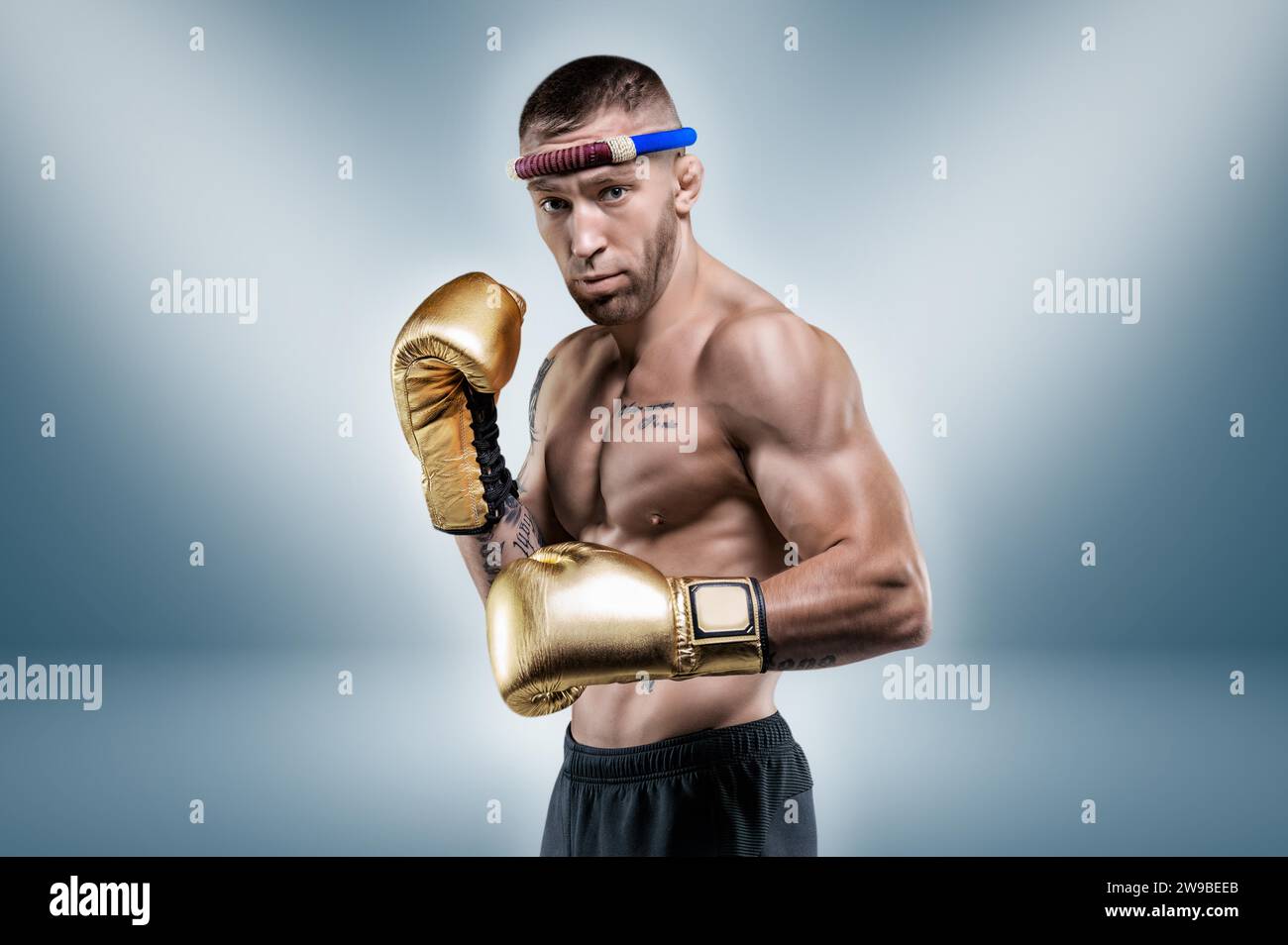 Portrait of a professional Thai boxer. Muay Thai, kickboxing, martial ...
