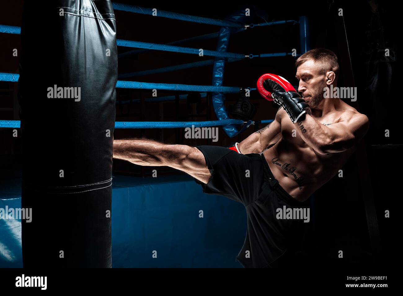 Kickboxer kicks the bag. Training a professional athlete. The concept ...