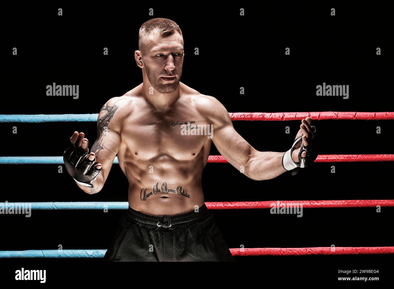 Mixed martial artist posing in boxing ring. Concept of mma, ufc, thai ...