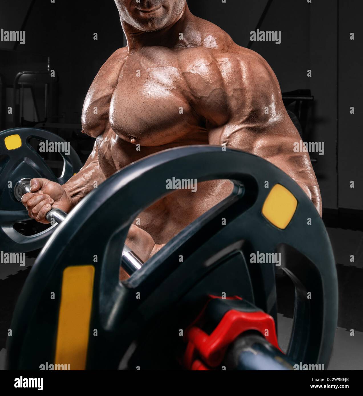 Powerful bodybuilder trains in a gym with a barbell. No name portrait ...