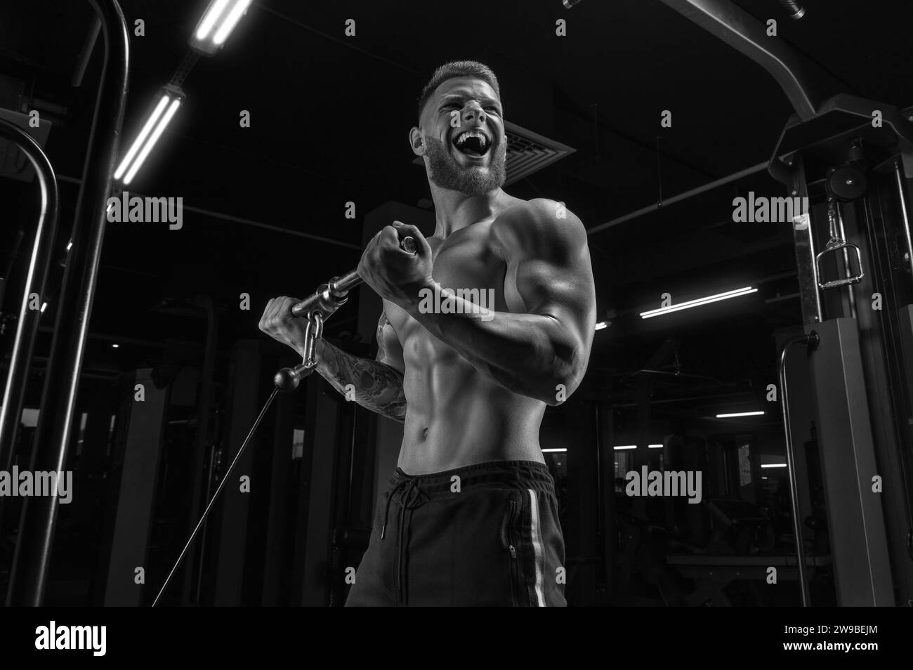 Portrait of an athlete pumping biceps in a crossover. Bodybuilding and ...