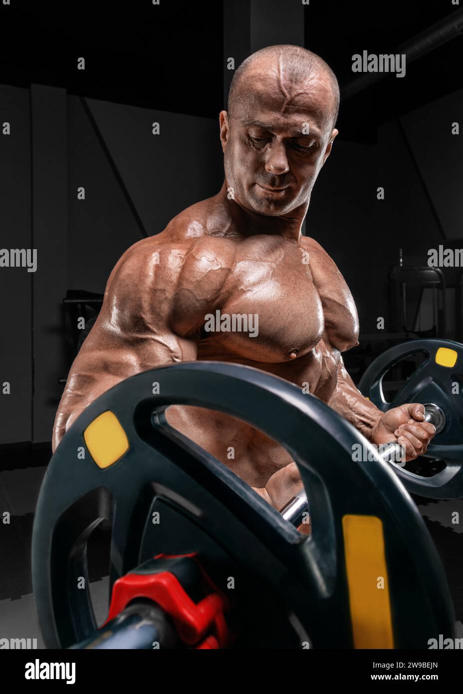 Professional weightlifter posing in the gym with a barbell in his hands. Classic bodybuilding ...