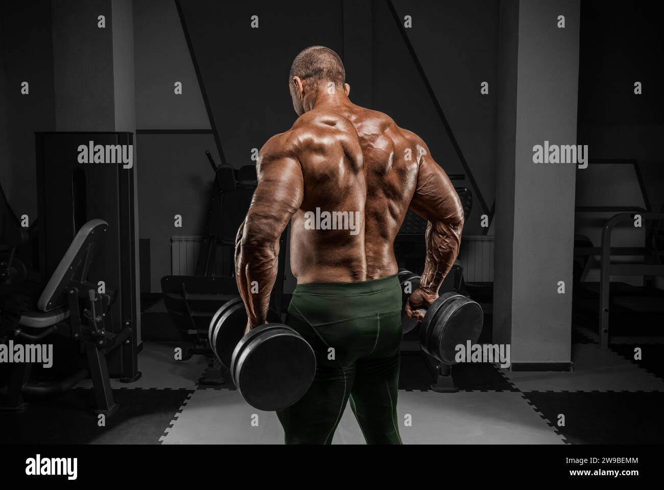 Professional weightlifter is training in the gym. Back exercises ...