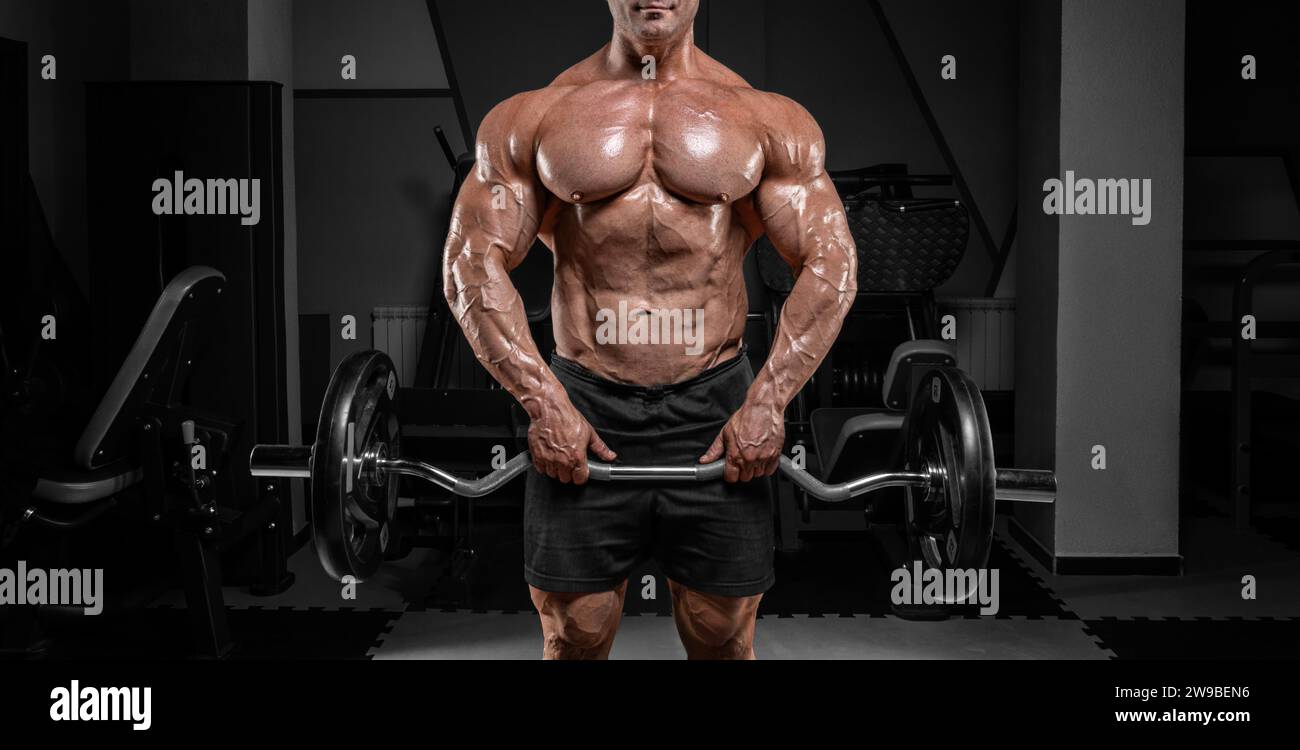 Powerful bodybuilder trains in a gym with a barbell. No name portrait ...