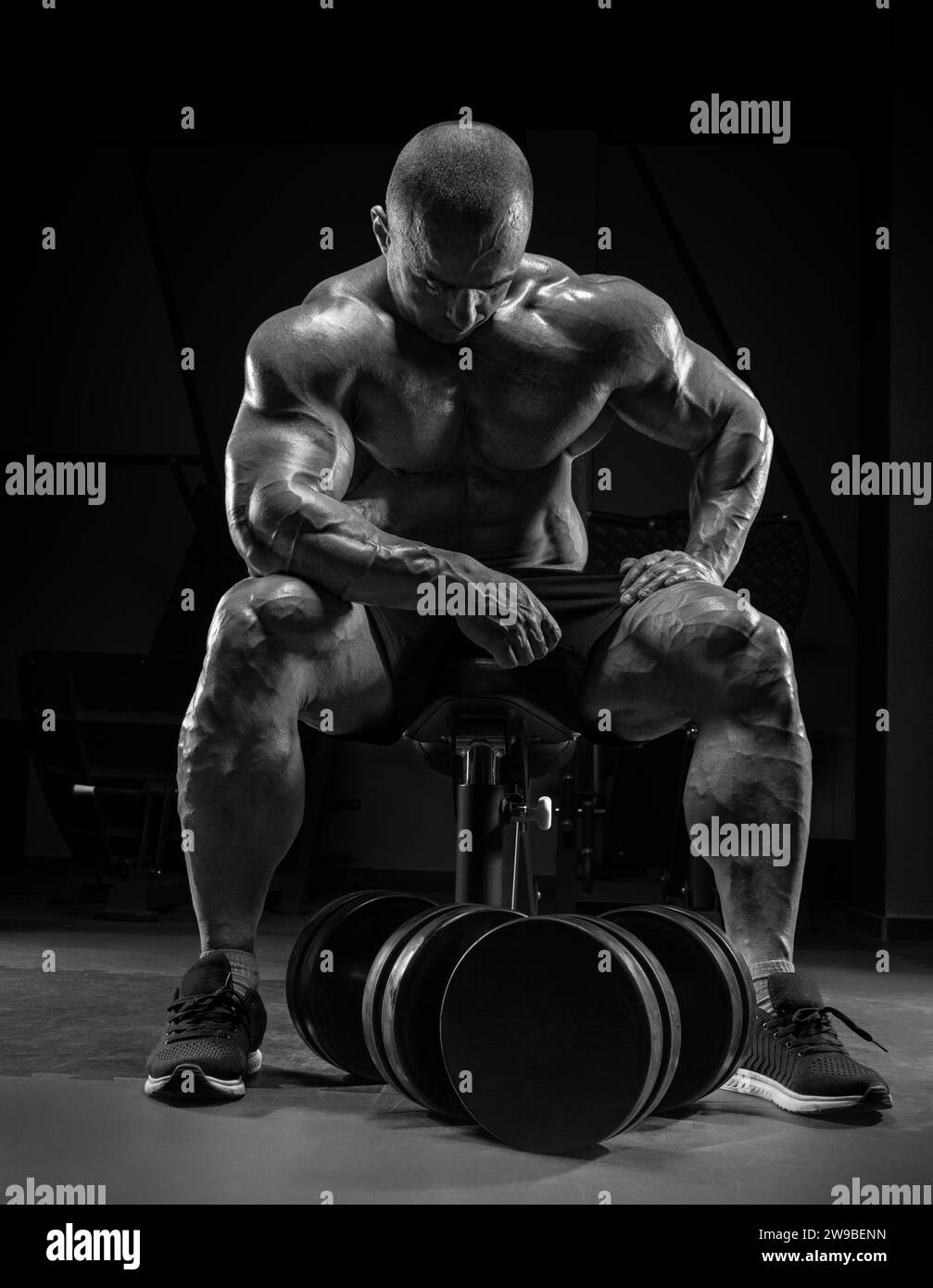 Muscular man sits on a bench near huge dumbbells. Bodybuilding and ...