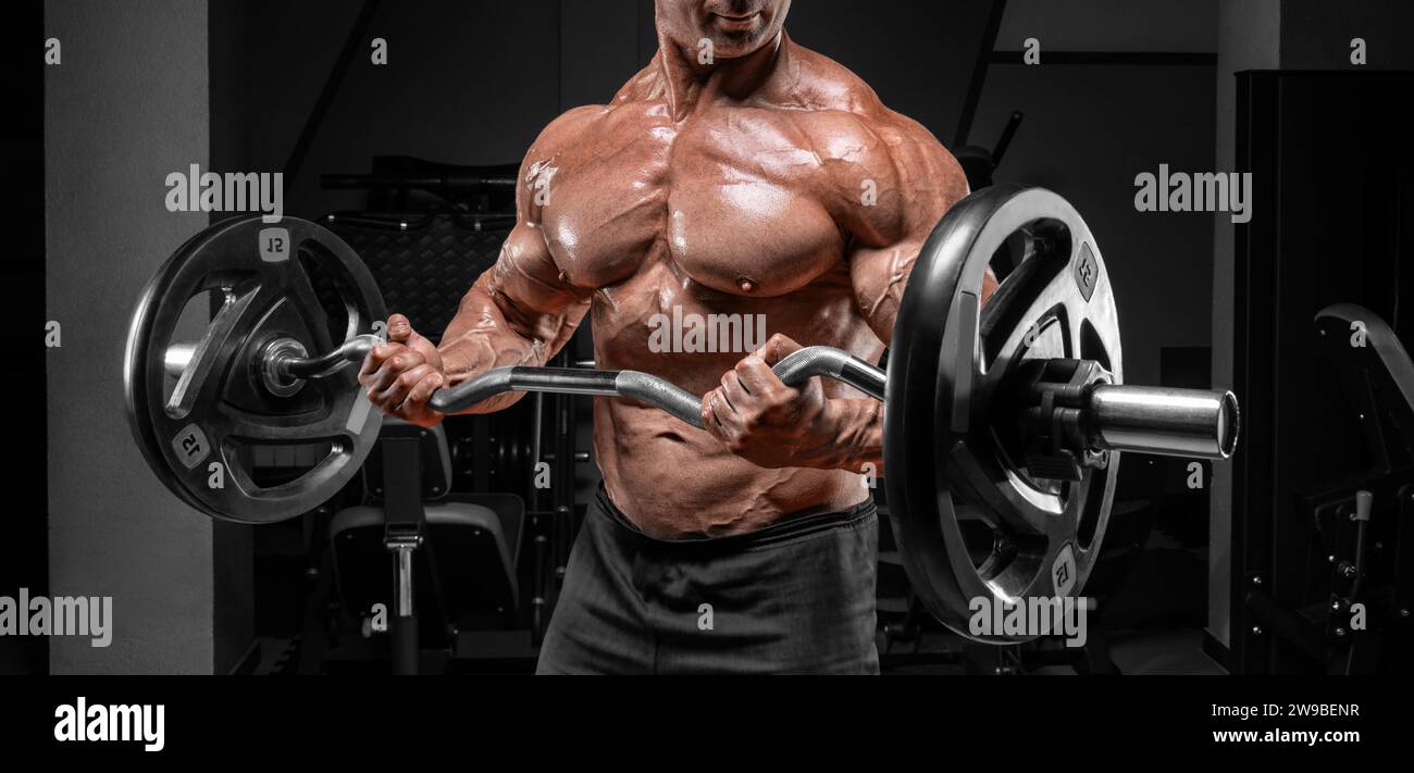 Powerful bodybuilder trains in a gym with a barbell. No name portrait ...