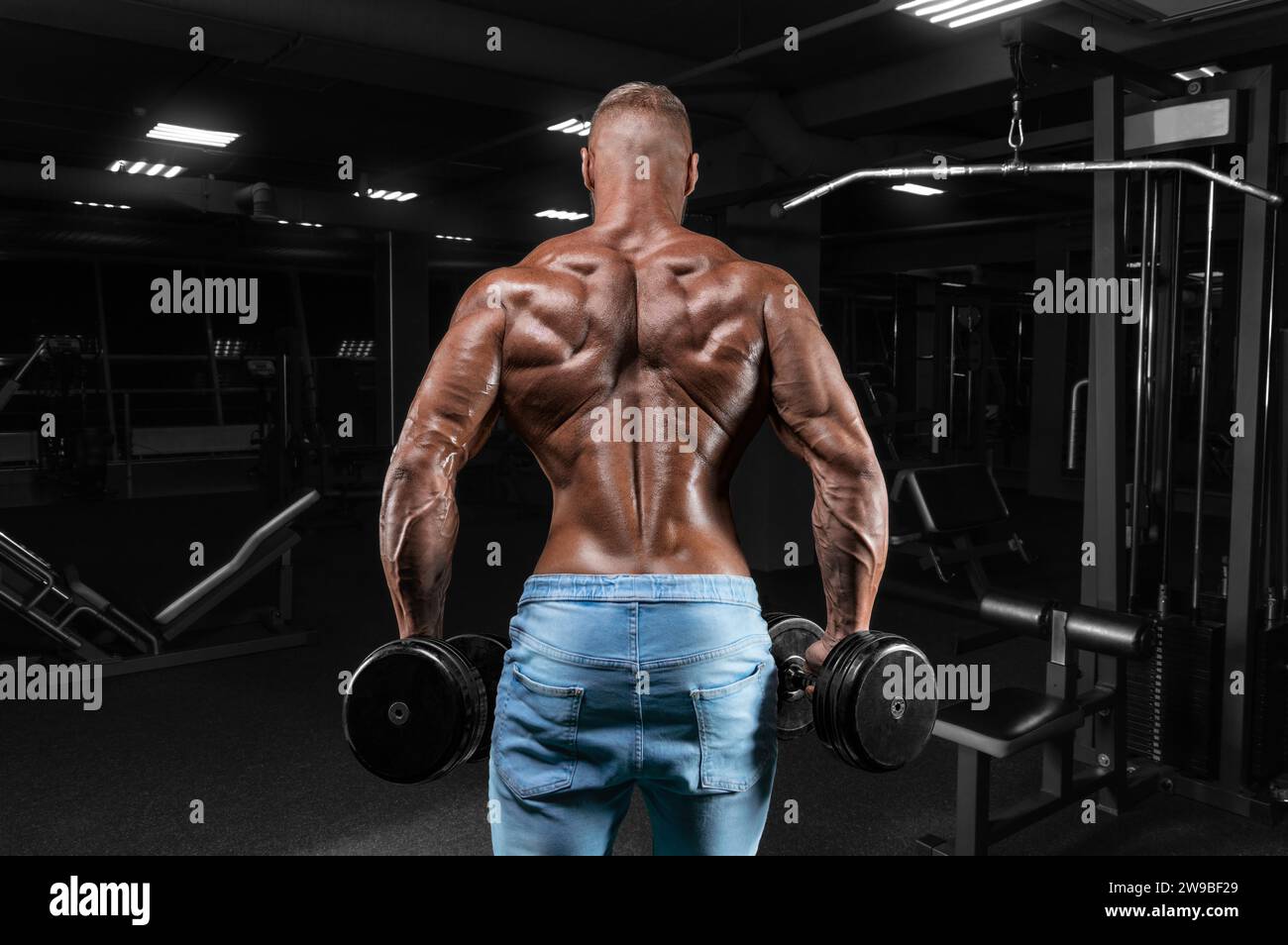 The athlete does an exercise in the gym with dumbbells. Back view ...