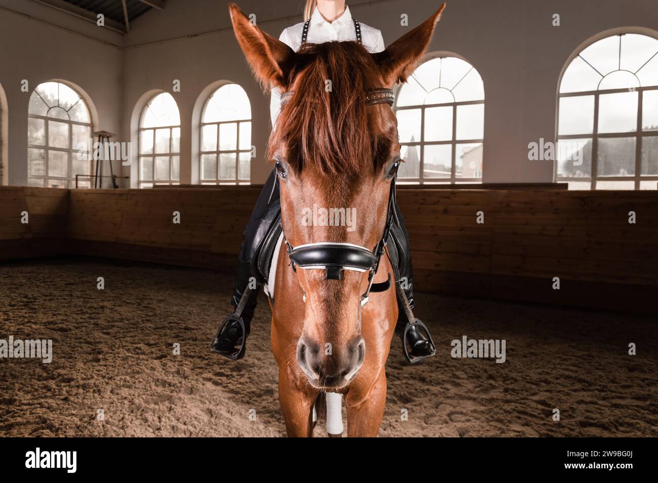 Image of a woman riding a thoroughbred horse. The background is a ...