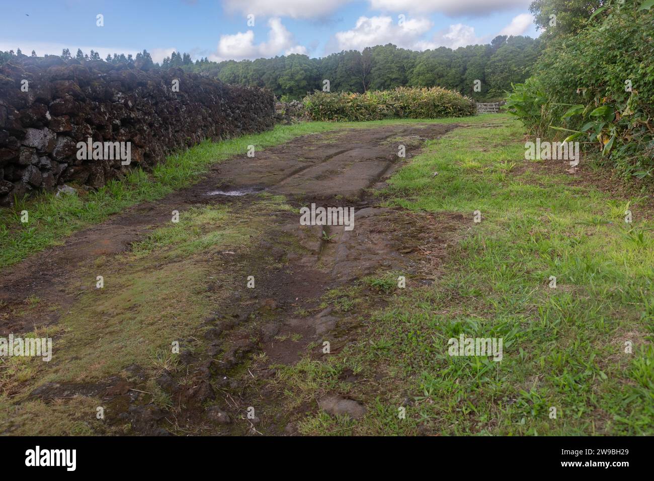 Ancient road markings on camino primitivo, Terceira, Azores Stock Photo ...