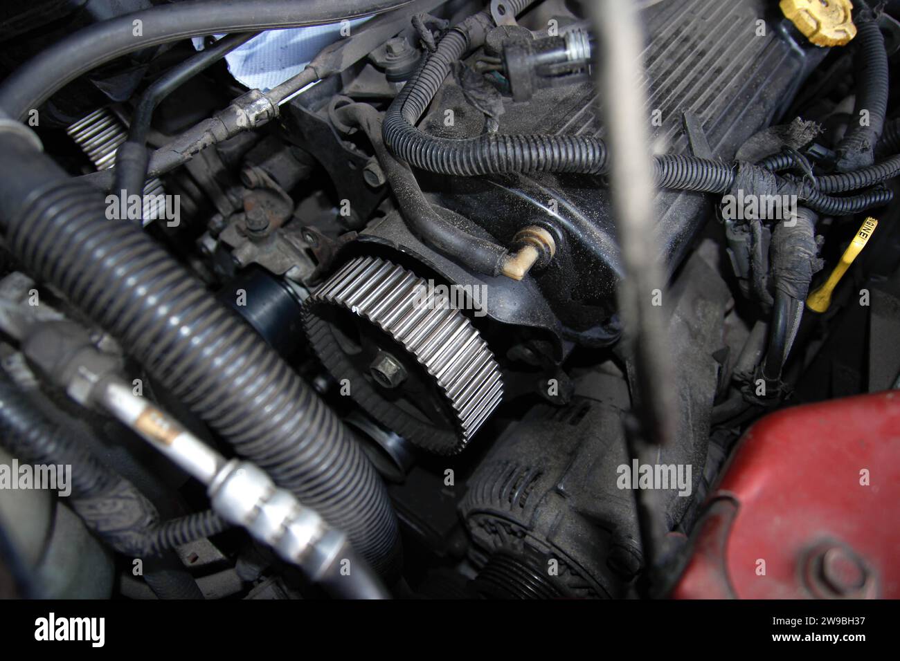 Car engine timing belt replacement, car repair, mechanic, glove, screws ...