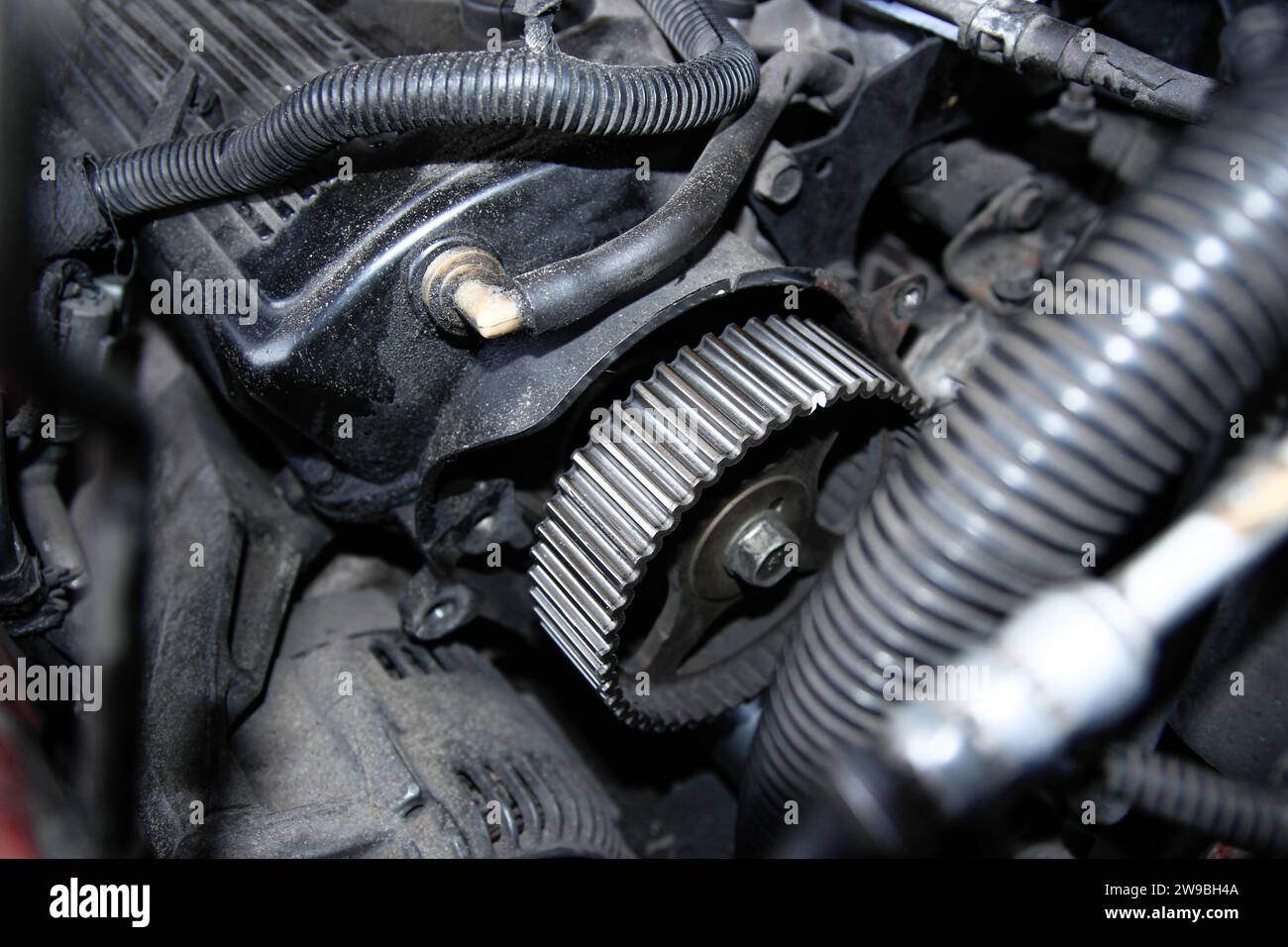 Car engine timing belt replacement, car repair, mechanic, glove, screws ...