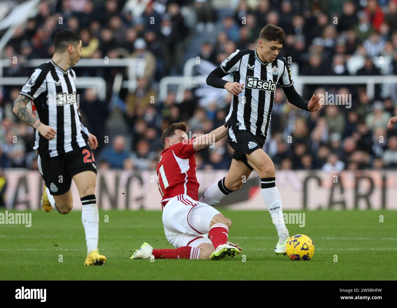 Chris wood newcastle 2023 hi-res stock photography and images - Alamy