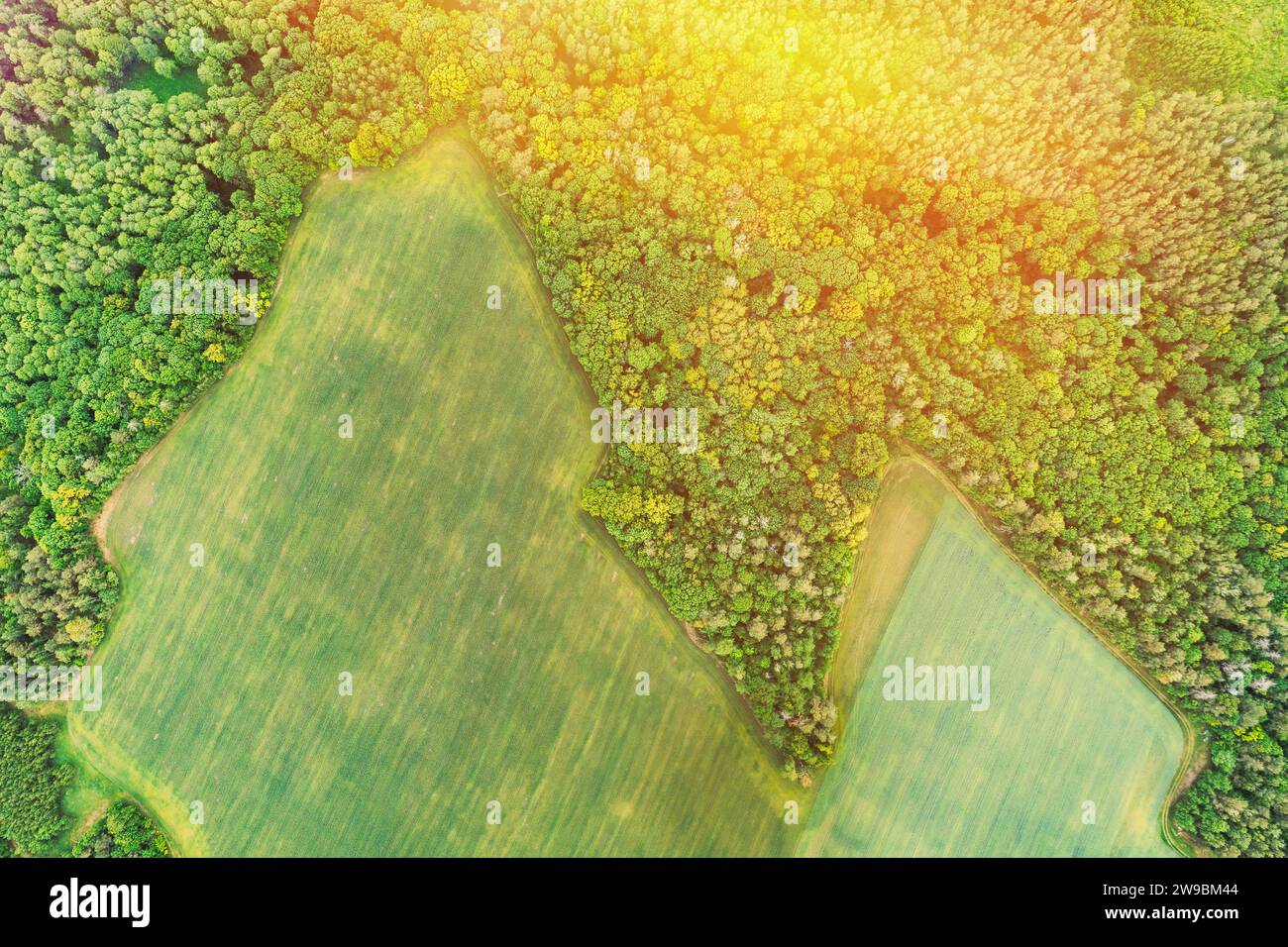 Aerial View Of Field And Deforestation Area Zone Landscape. Top View Of ...