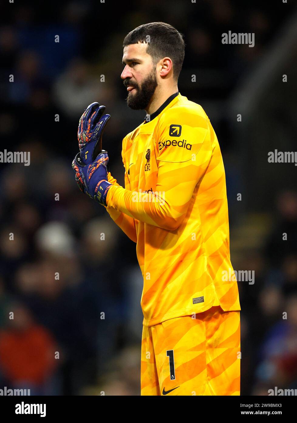 Liverpool goalkeeper Alisson Becker during the Premier League match at ...