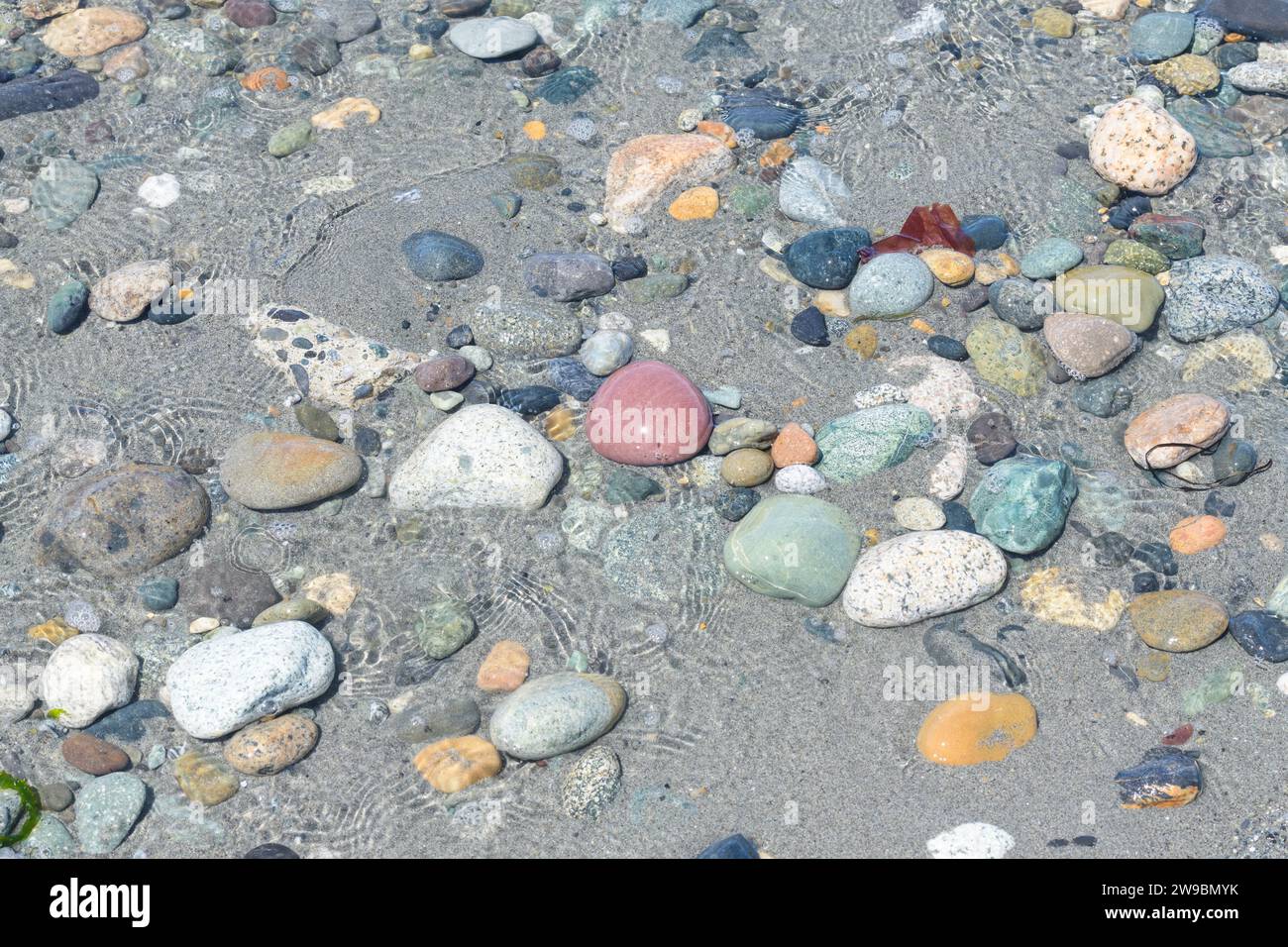 Mixture of natural stones and pebbles in shallow ocean water Stock ...