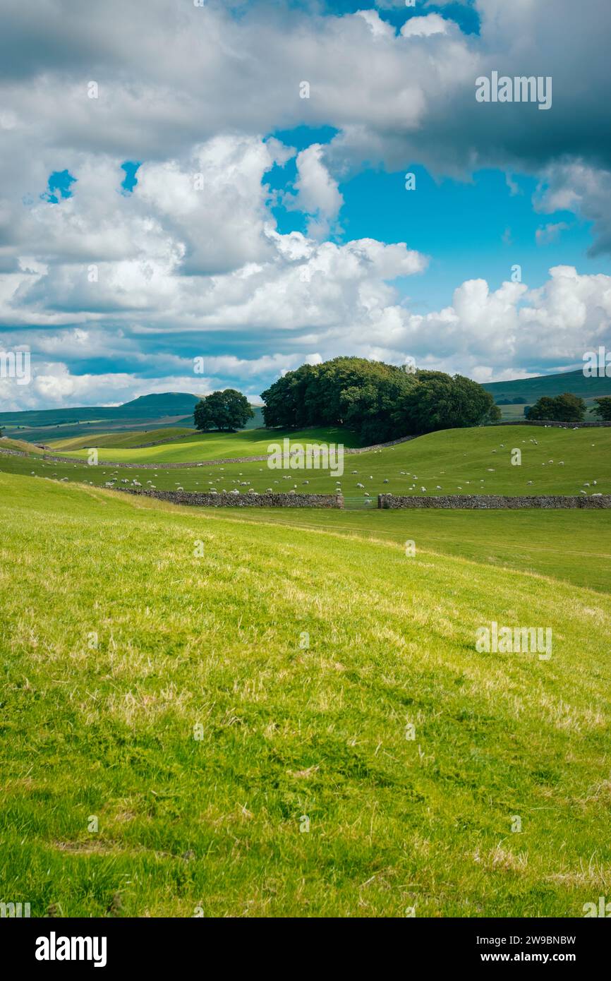 Beautiful green fields england hi-res stock photography and images - Alamy