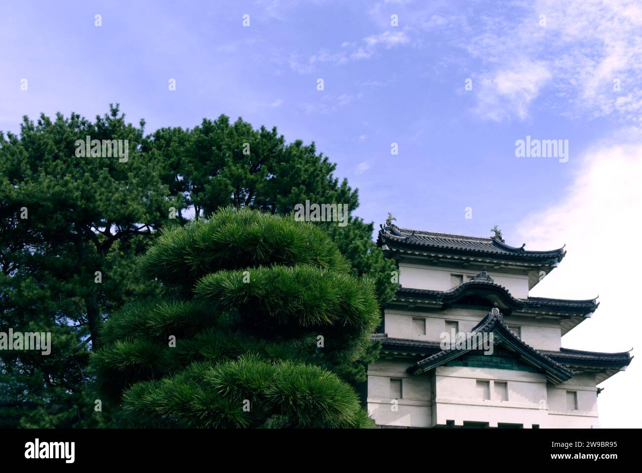 observation tower inside of the castle in Tokyo Stock Photo - Alamy