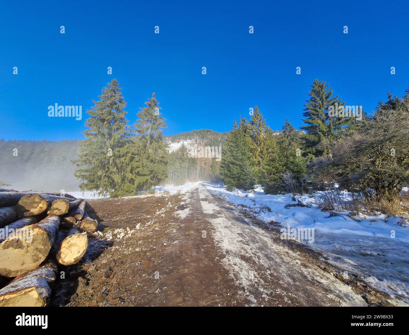 Winter in the Slovak Tatra Mountains full of snow Stock Photo - Alamy