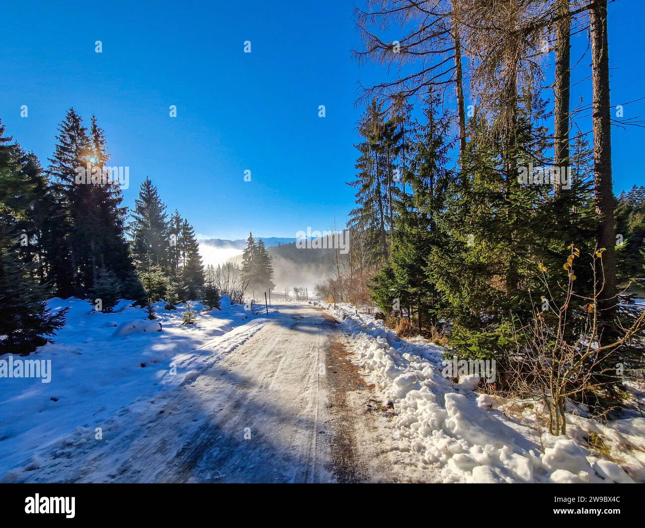 Winter in the Slovak Tatra Mountains full of snow Stock Photo - Alamy