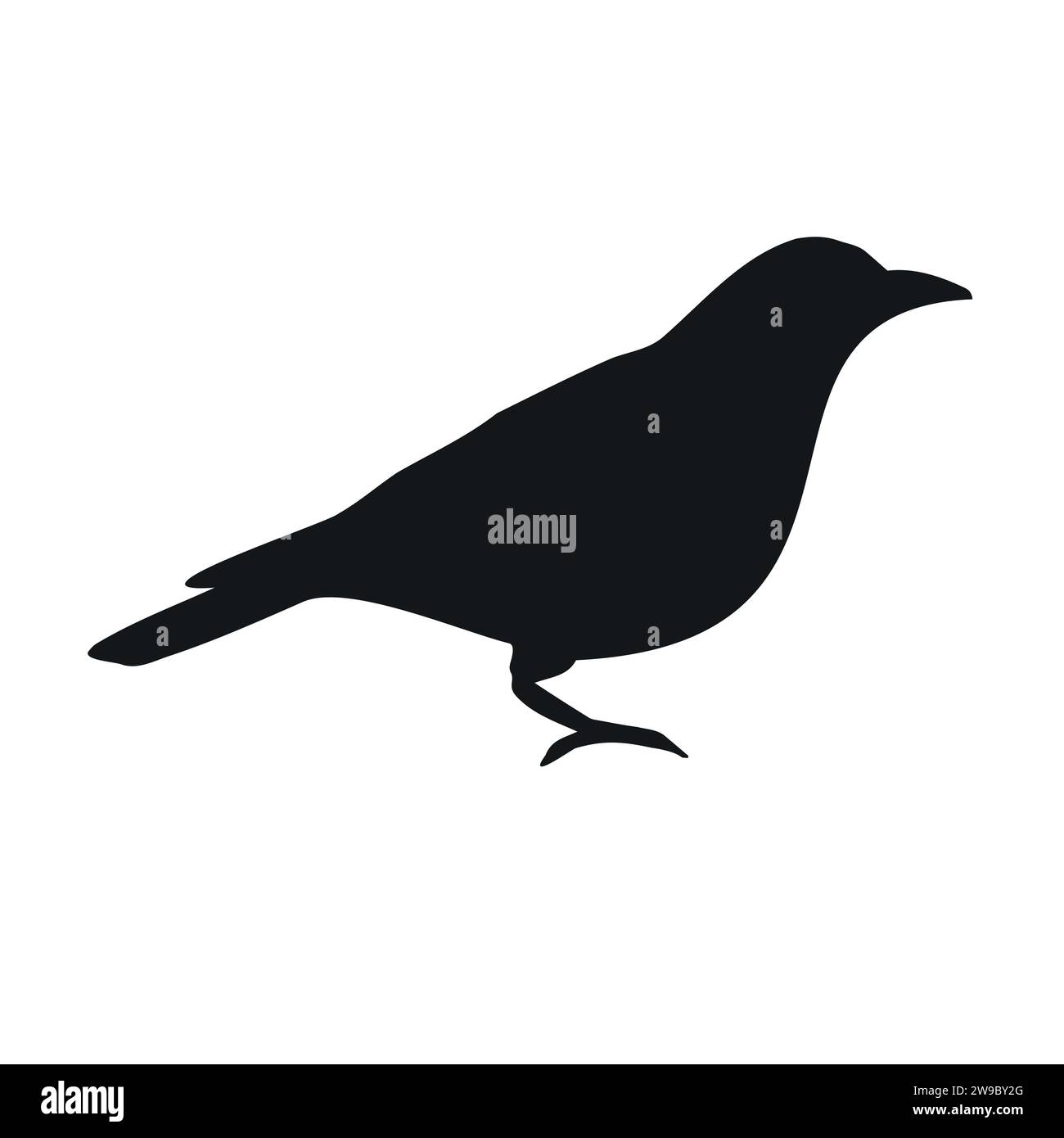 Vector hand drawn doodle sketch catbird bird silhouette isolated on white background Stock ...