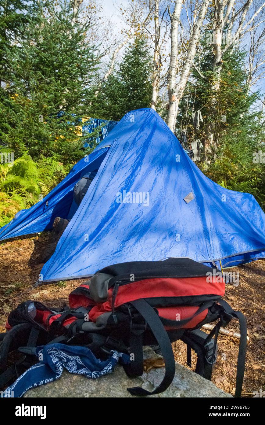 Unknown pond trail hi-res stock photography and images - Alamy