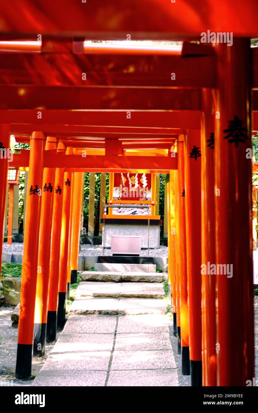 Tori gates in a row in Kinomiya shrine Stock Photo - Alamy