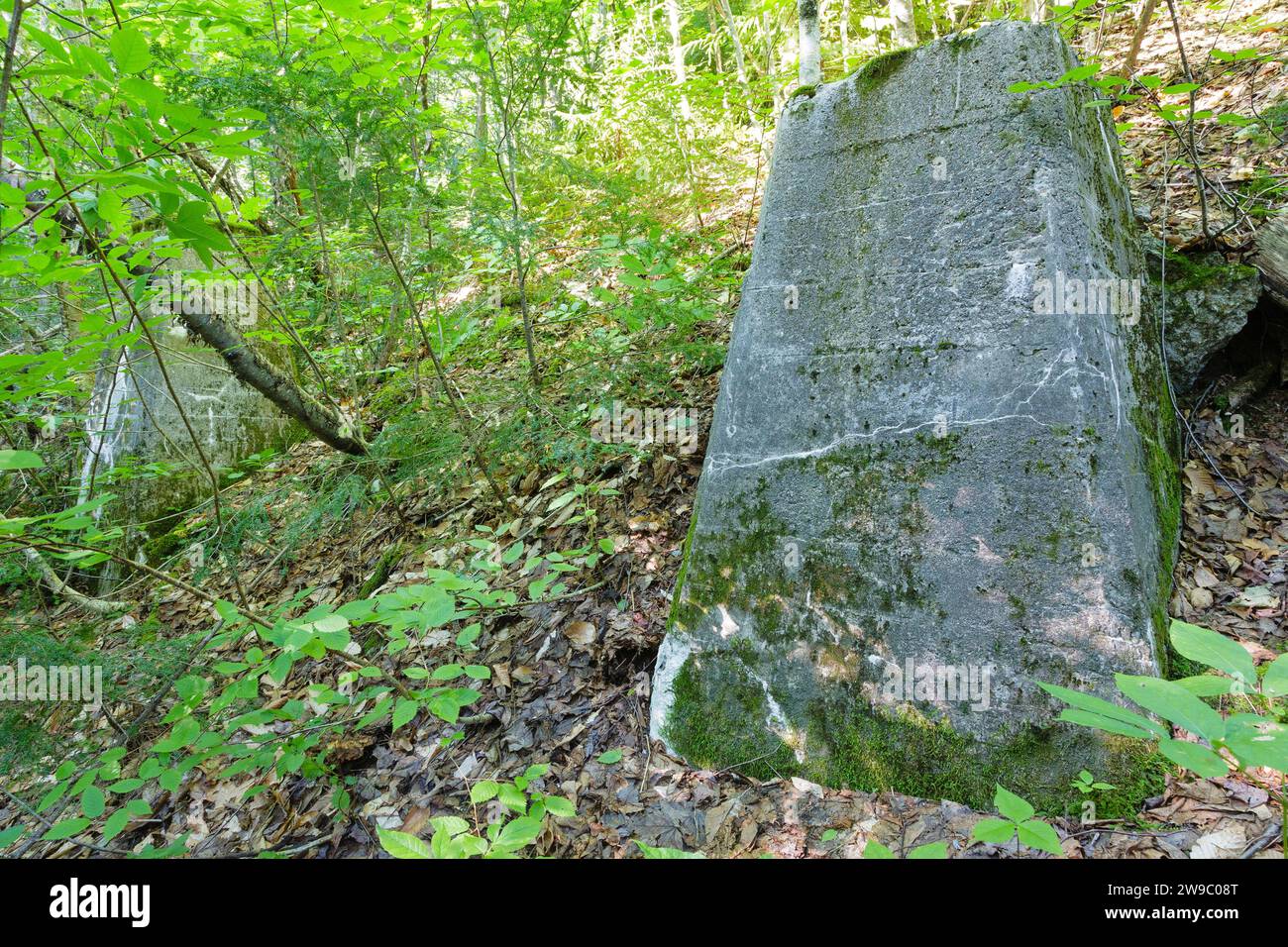 Old bridge abutment on the bank of Louisville Brook along Bear Notch ...