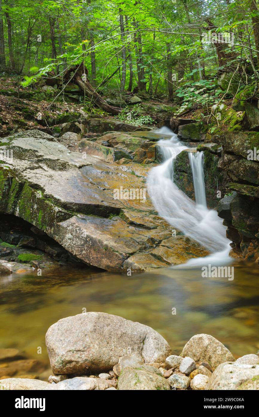 Attitash trail hi-res stock photography and images - Alamy