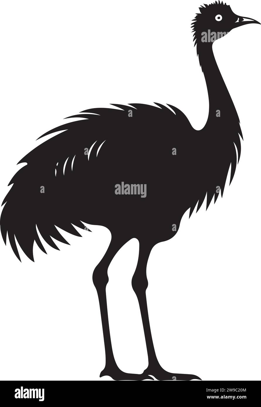 Vector Silhouette of Emu Wildlife Stock Vector Image & Art - Alamy