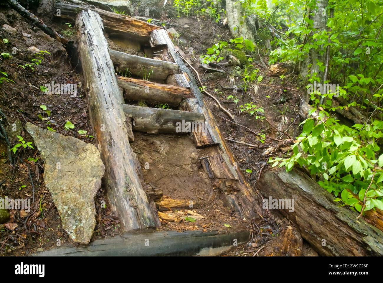 Appalachian Trail - A trail staircase, seen here here in 2007, along ...