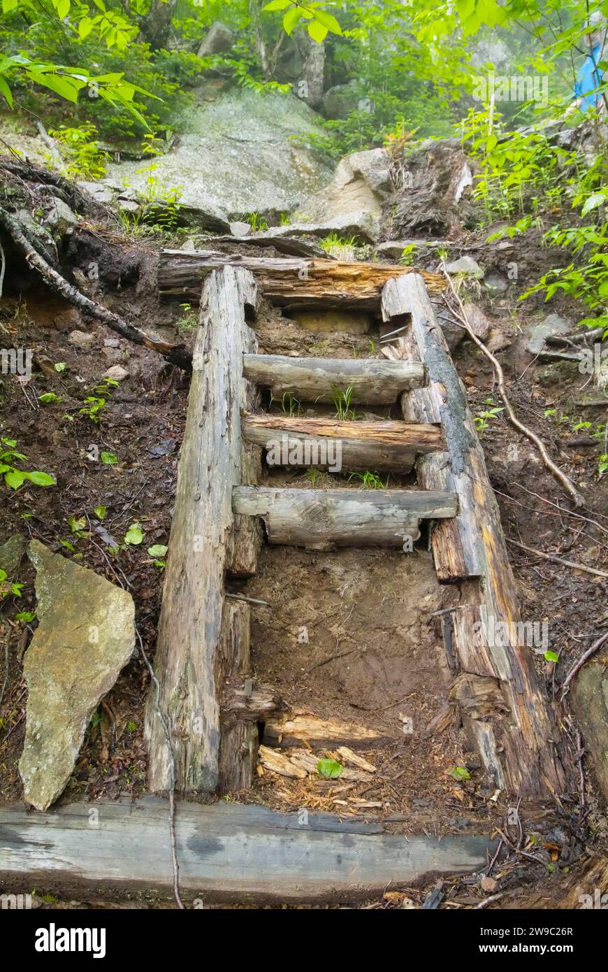 Appalachian Trail - A trail staircase, seen here here in 2007, along ...