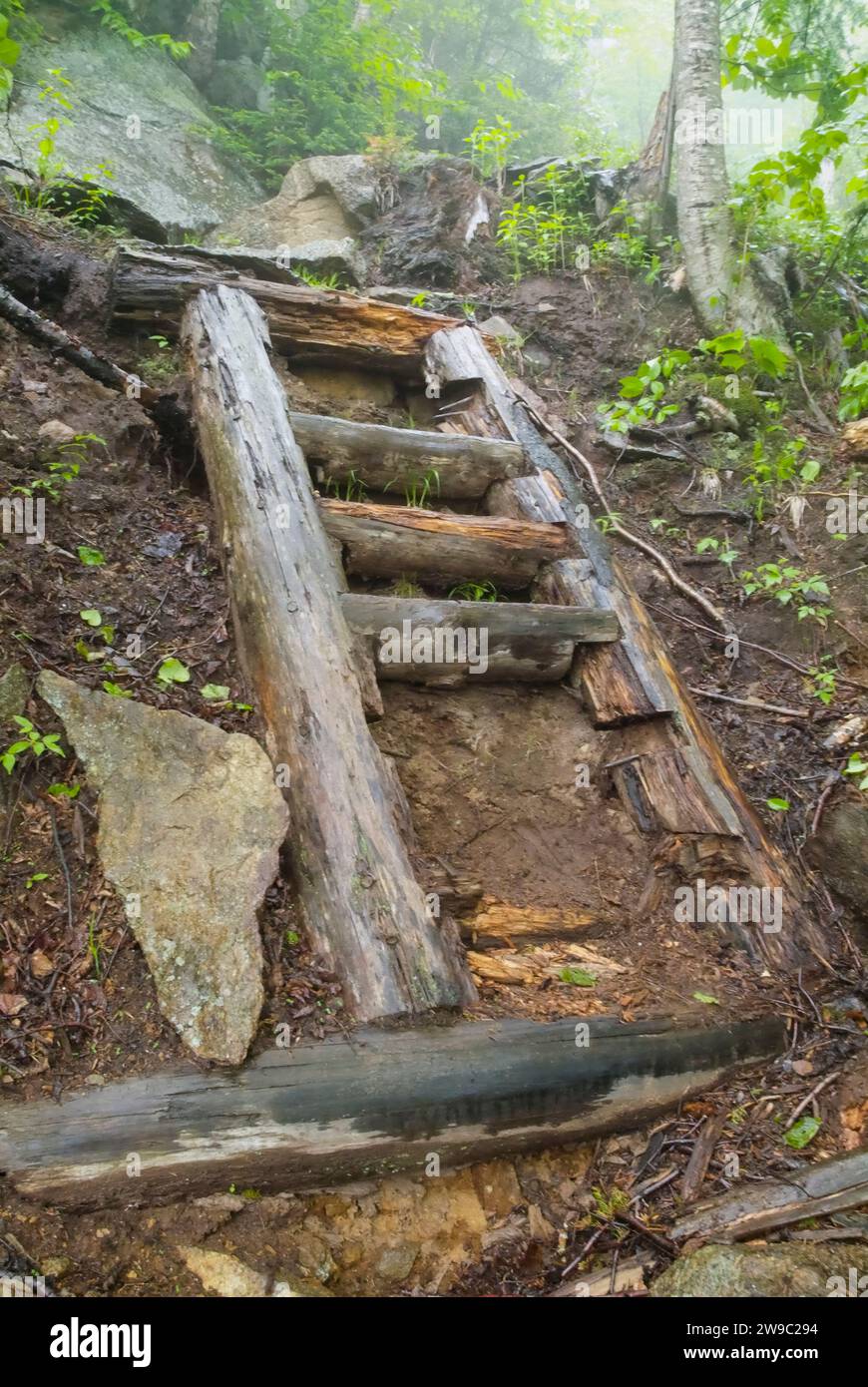 Appalachian Trail - A trail staircase, seen here here in 2007, along ...