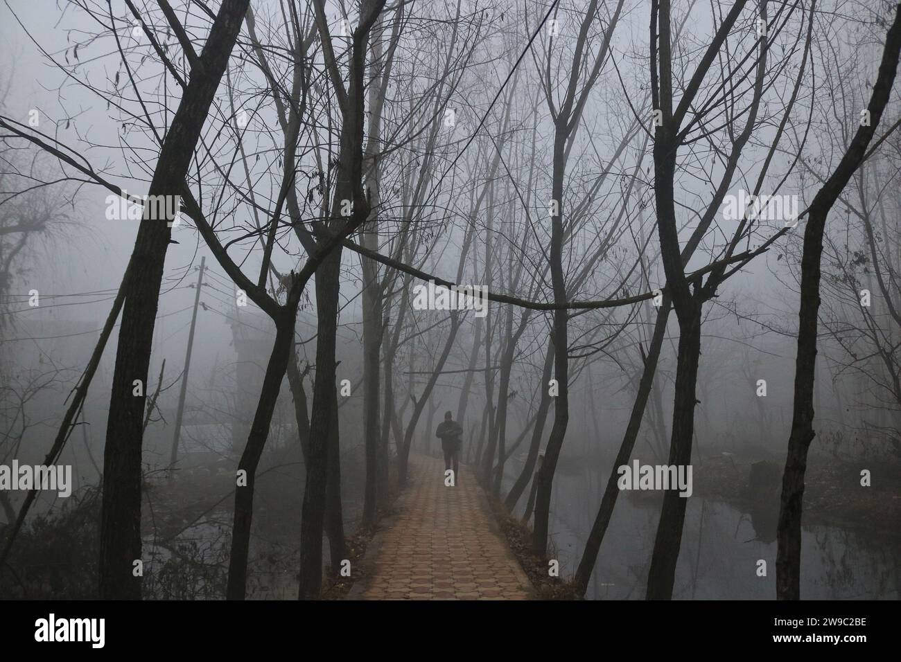 December 26, 2023, Srinagar Kashmir, India : A man walks in the ...