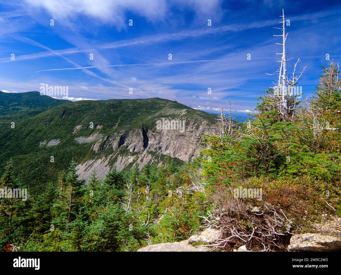 Cannon Mountain from along the Old Bridle Path in the White Mountains ...