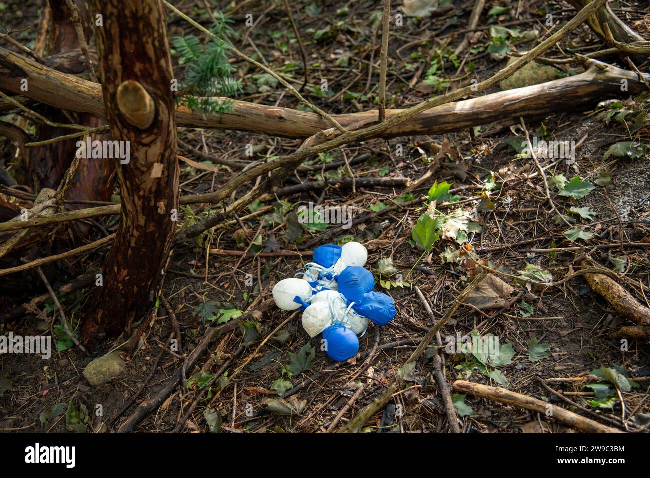 white and blue deflated balloons in forest Stock Photo - Alamy