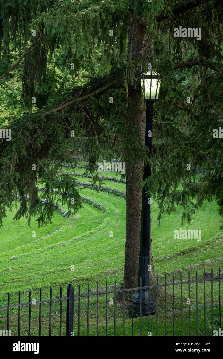 lamp post in park Stock Photo - Alamy