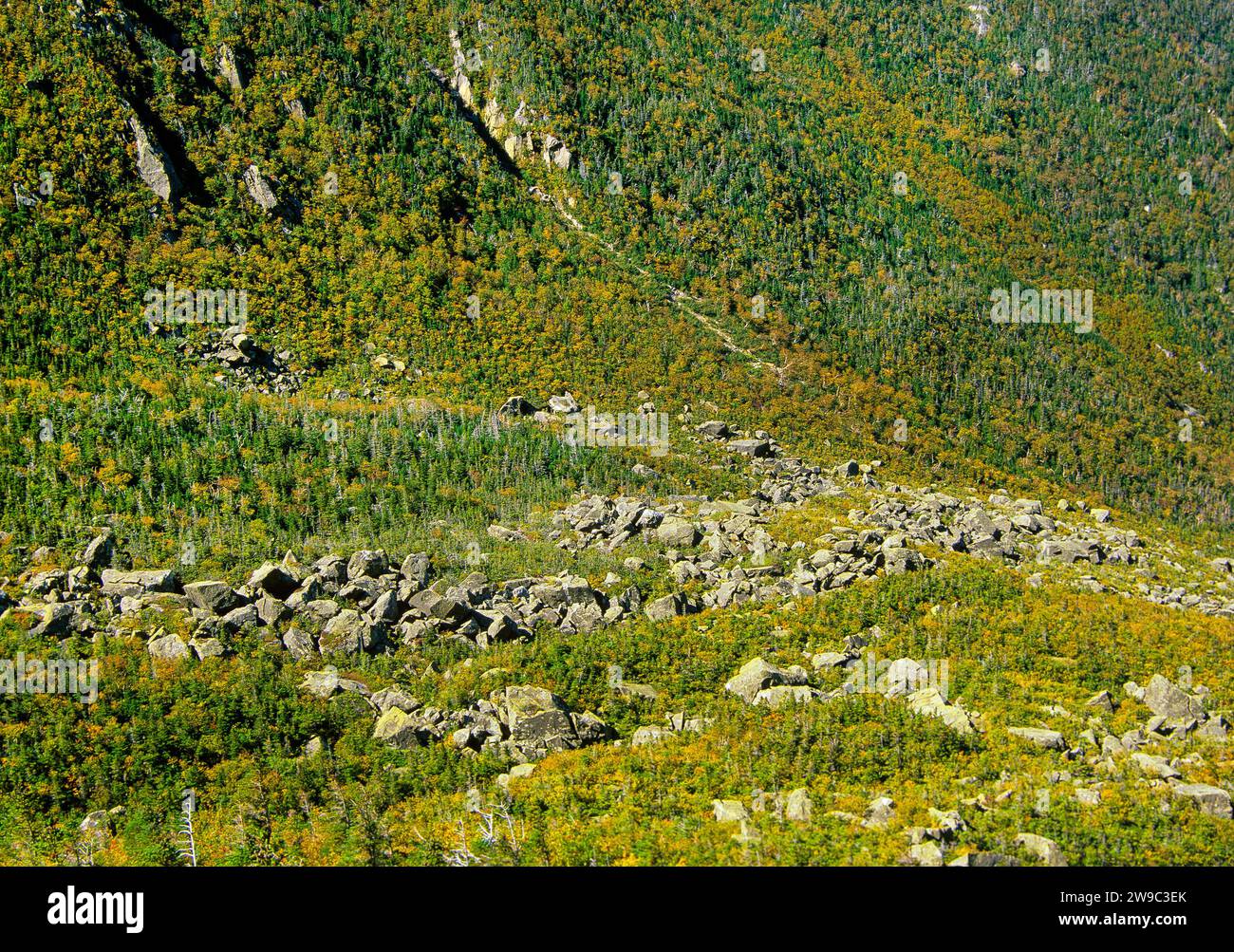 Steep and hampshire and thomas hi-res stock photography and images - Alamy