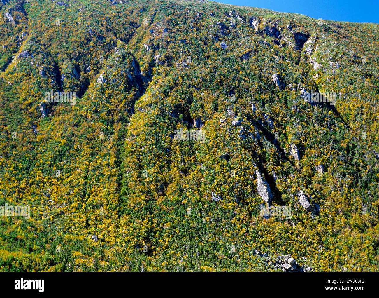 Steep and hampshire and thomas hi-res stock photography and images - Alamy