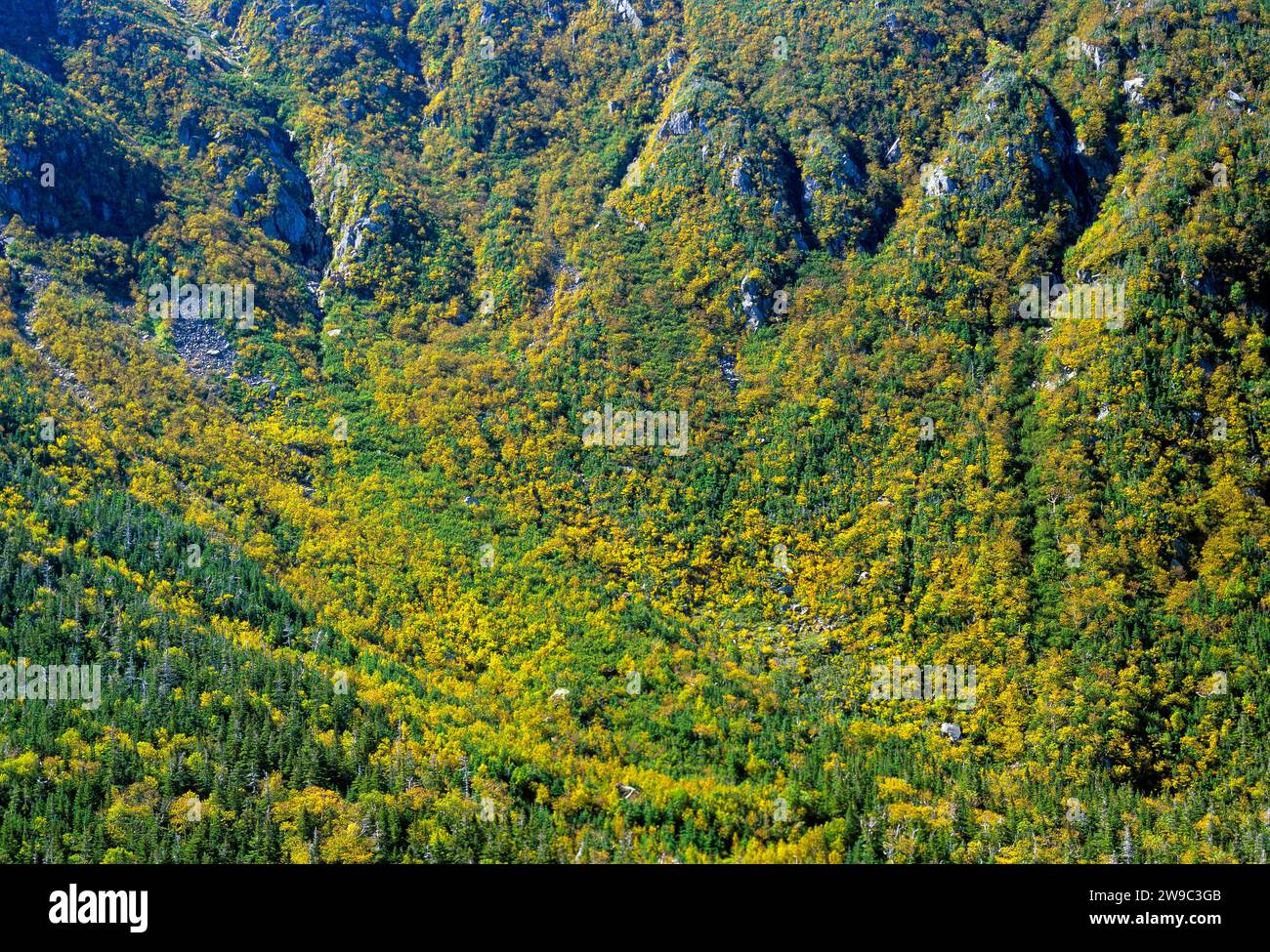 Steep and hampshire and thomas hi-res stock photography and images - Alamy