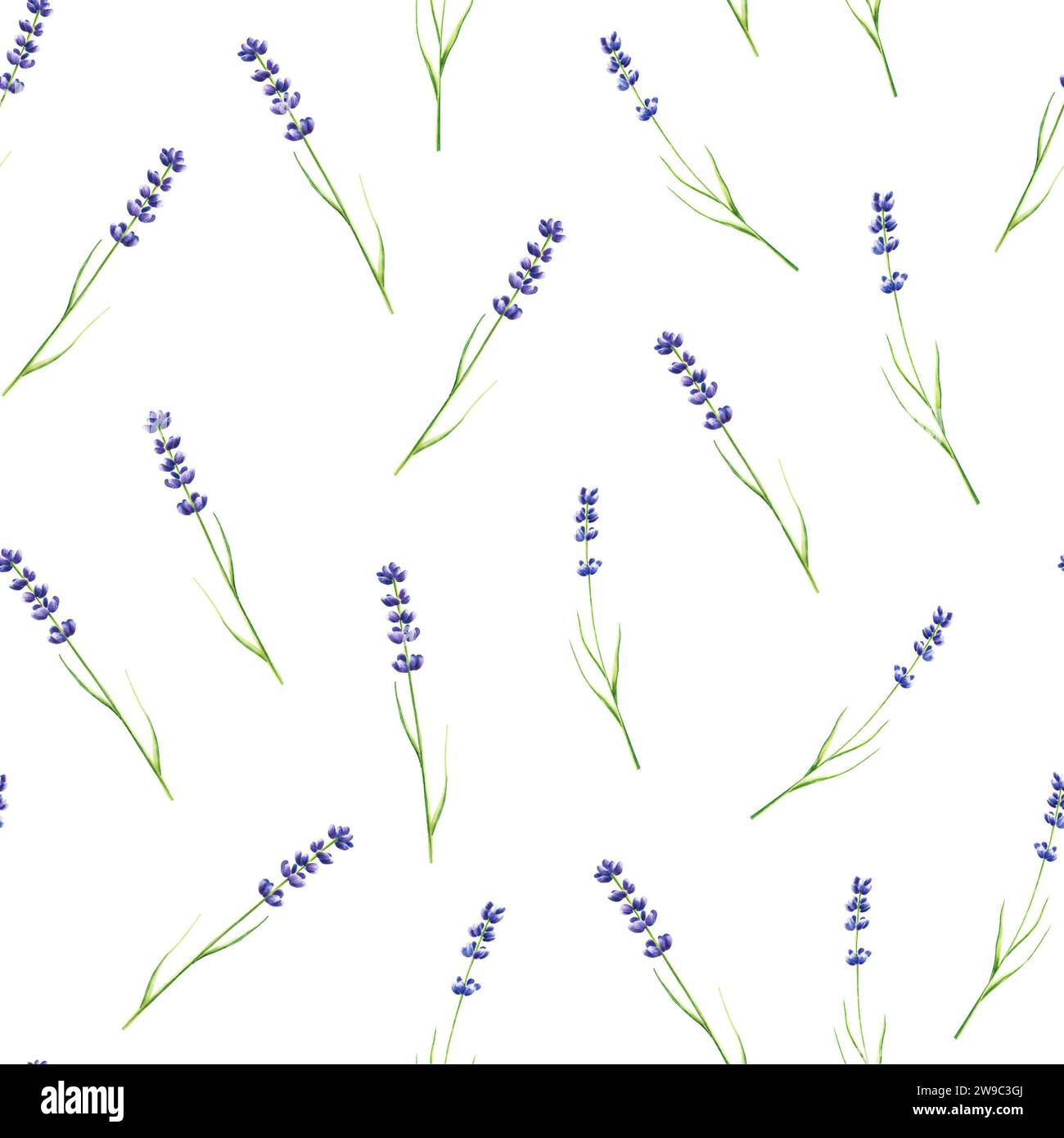 Watercolor seamless pattern with lavender illustration isolated on ...