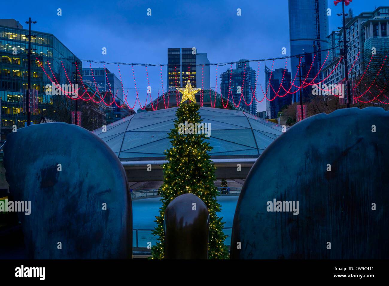 Skating rink, Christmas tree, Robson Square, downtown, Vancouver ...