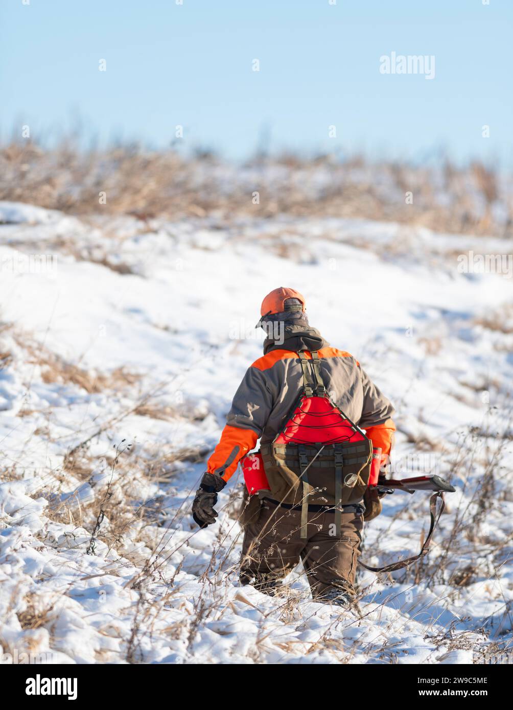 Bird hunting in north hi-res stock photography and images - Alamy