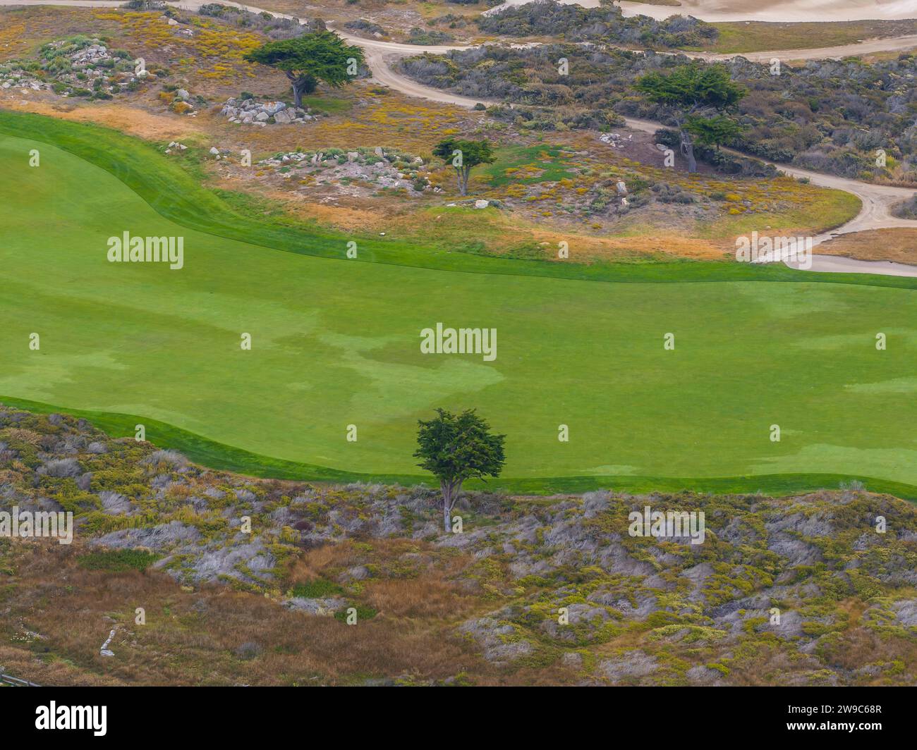 Aerial view of the gold court in California, USA Stock Photo - Alamy