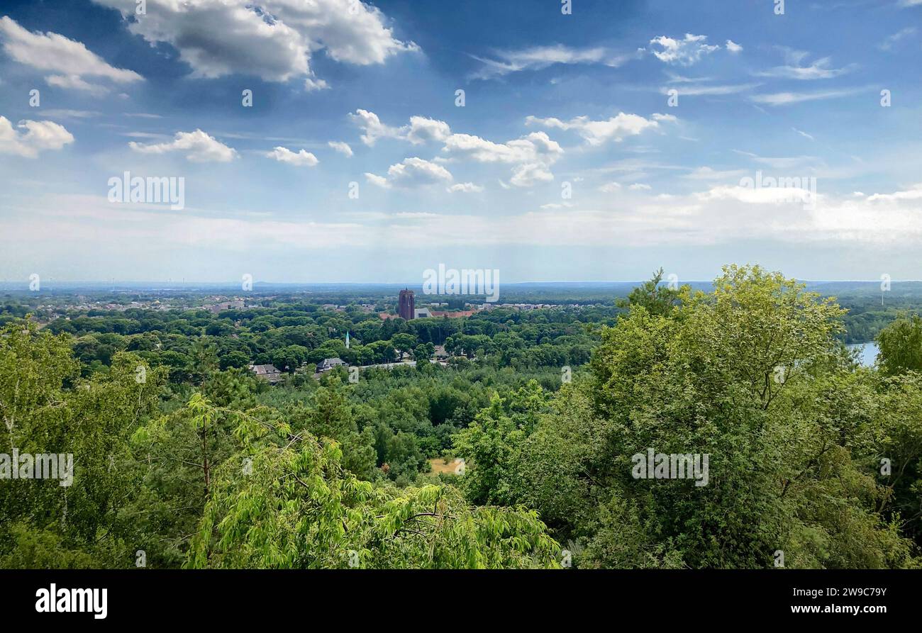 This image captures the serene beauty of a lush, green overlook ...