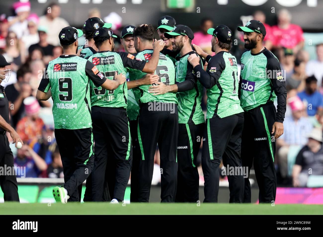 Professional cricket players hi-res stock photography and images - Alamy