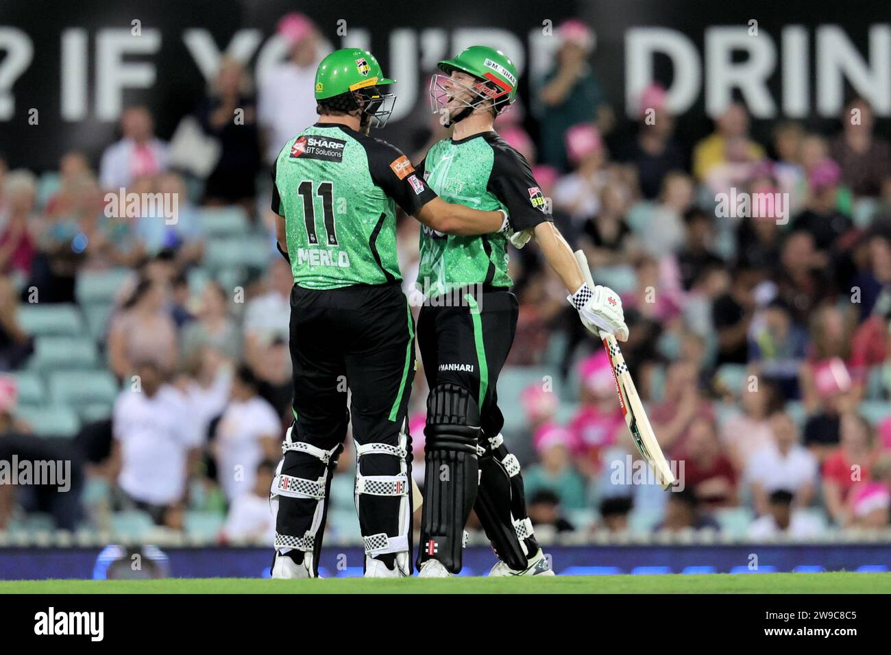 Merlo field hi-res stock photography and images - Alamy