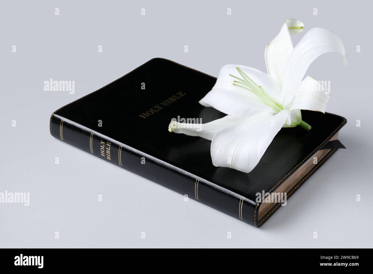 Beautiful lily flower and Holy Bible on grey background Stock Photo - Alamy