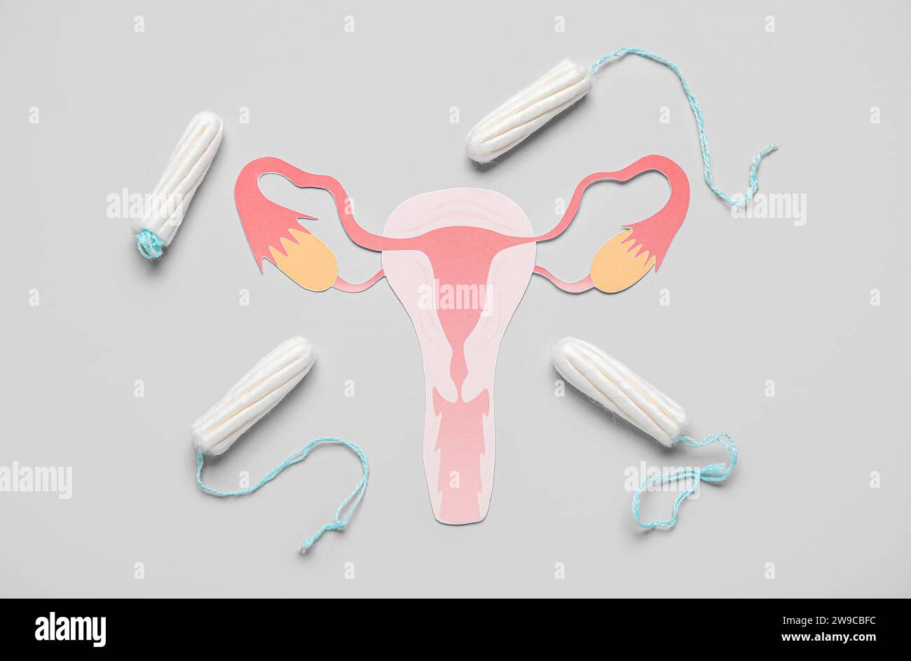 Composition with paper uterus and tampons on grey background Stock ...