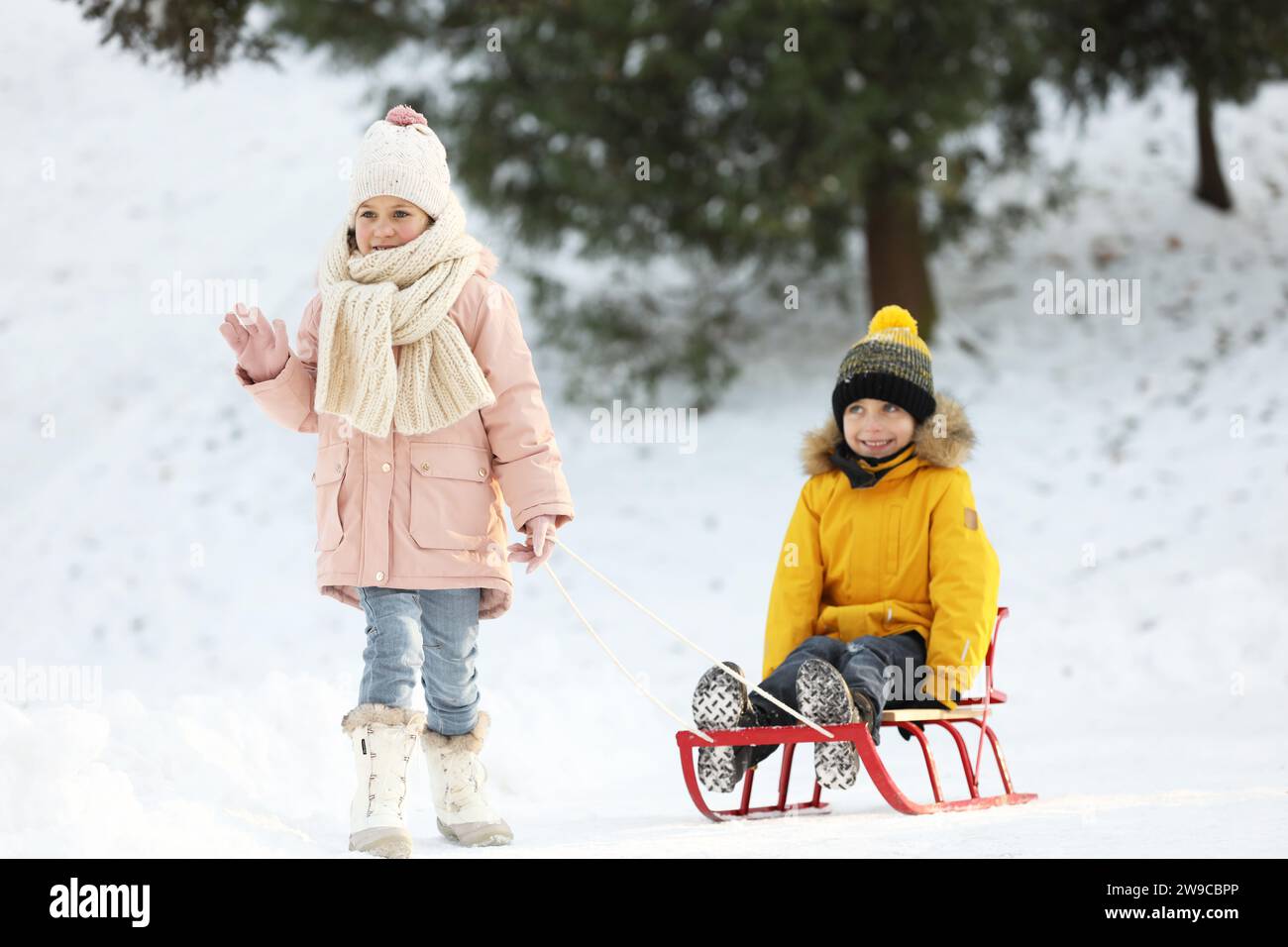 Little girl pulling sledge with her brother through snow in winter park ...