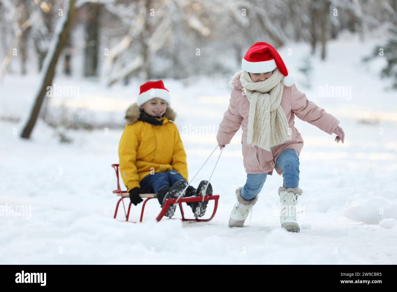 Little girl pulling sledge with her brother through snow in winter park ...